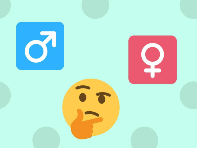 How to identify masculine and feminine nouns in Spanish